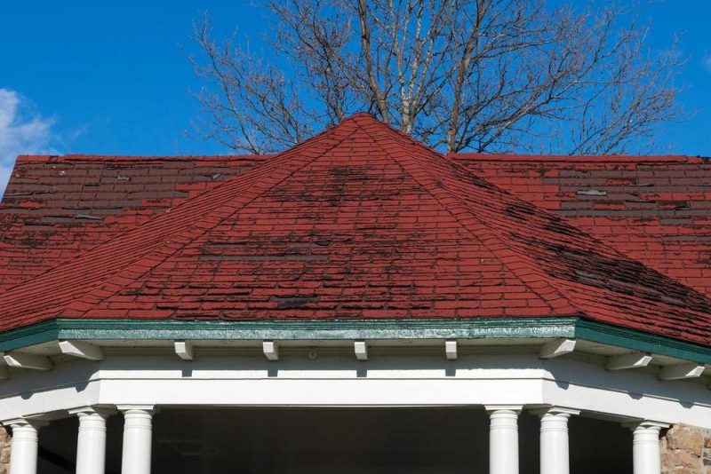 What are the Signs I Need a New Shingle Roof?
